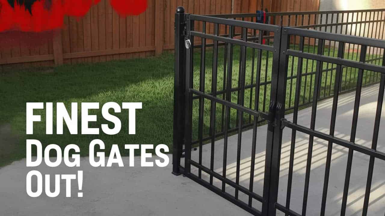 How To Choose The Best Outdoor Dog Gate For Safety